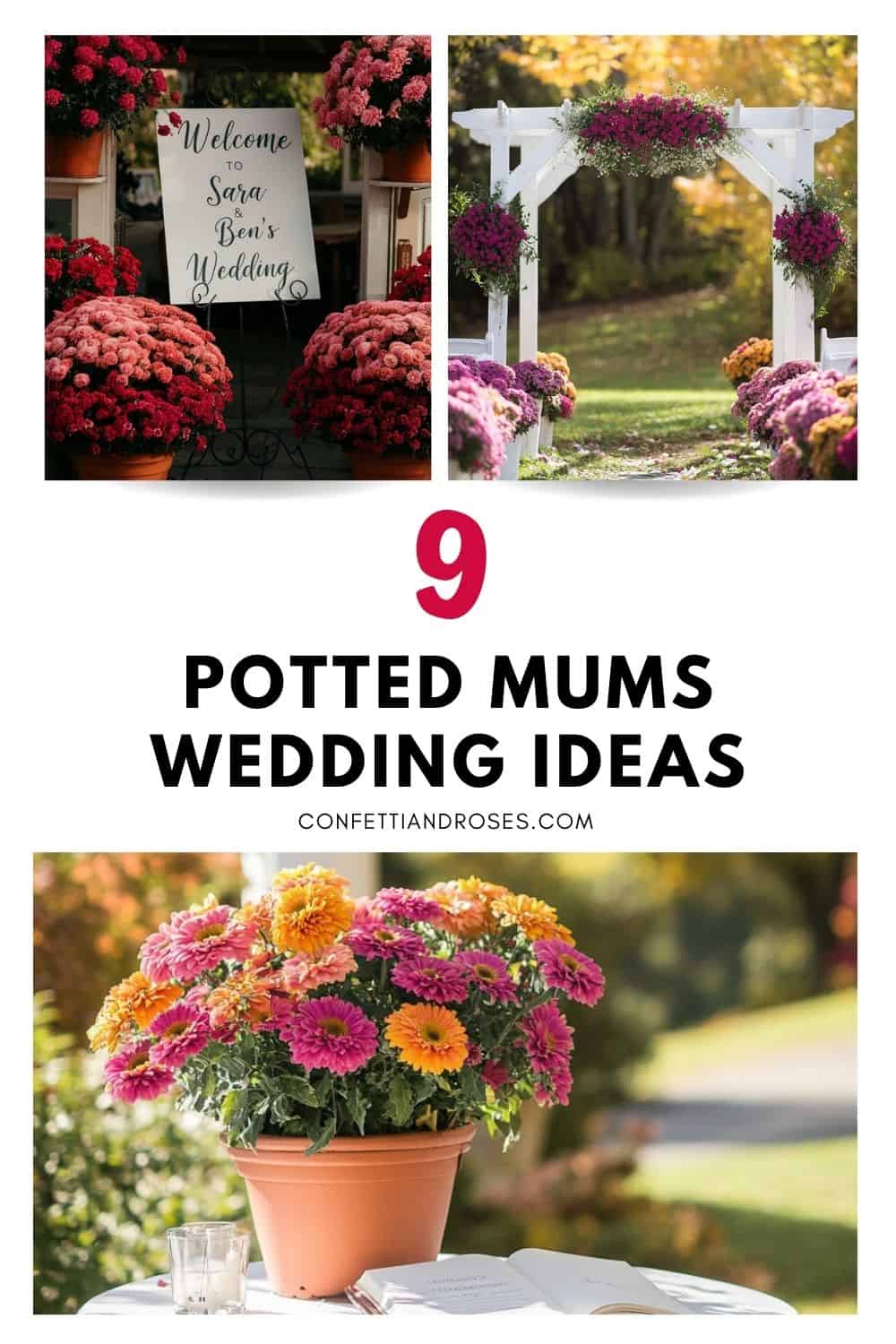 9 Creative Ways To Use Potted Mums In Your Wedding • Confetti & Roses