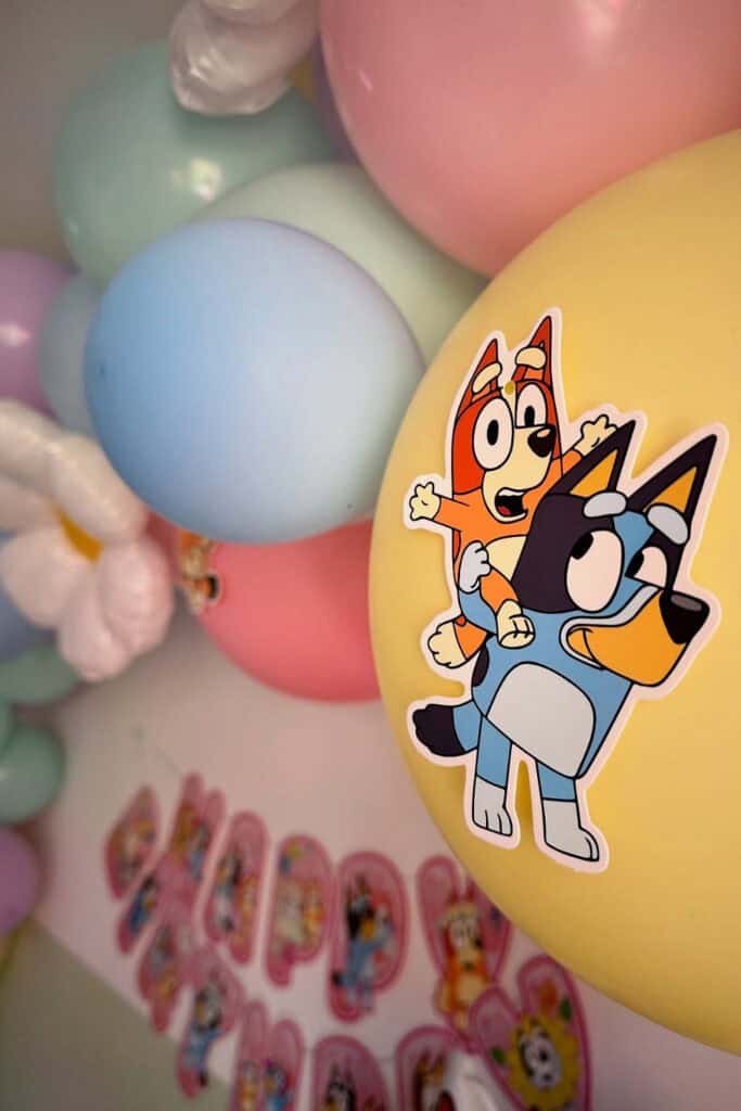 12 Creative Bluey Birthday Party Ideas • Confetti & Roses