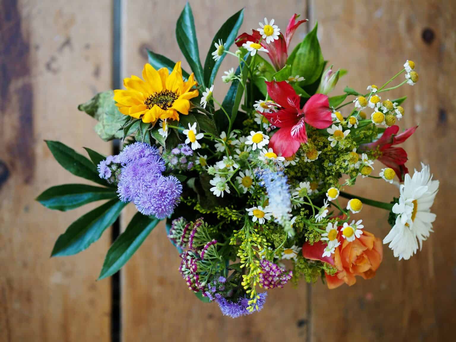 20 Types Of Flowers And Their Meanings: A Timeless Guide To Symbolism 🌸 ...