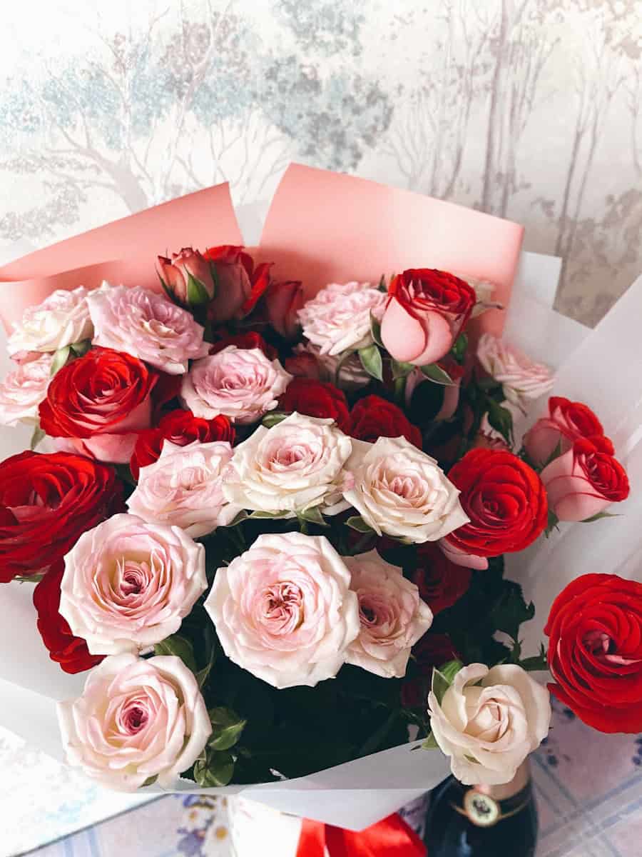 Rose Color Meanings: Unlock The Secret Language Behind Every Bloom 🌹 ...
