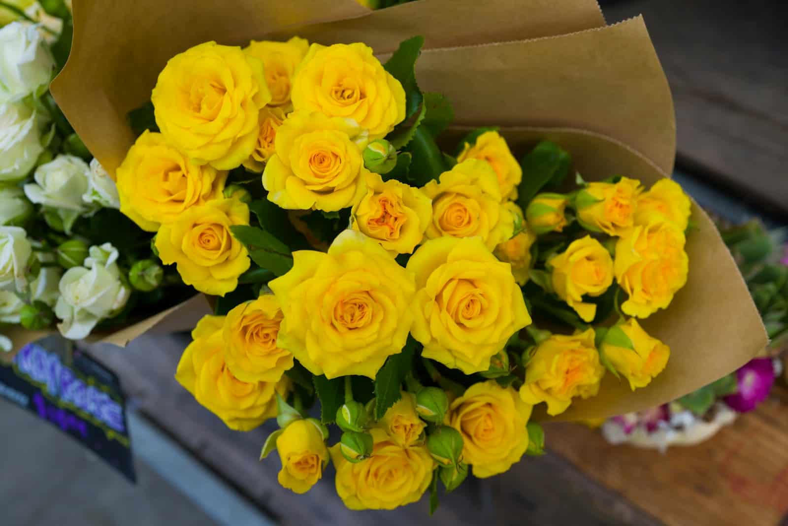 Rose Color Meanings: Unlock The Secret Language Behind Every Bloom 🌹 ...