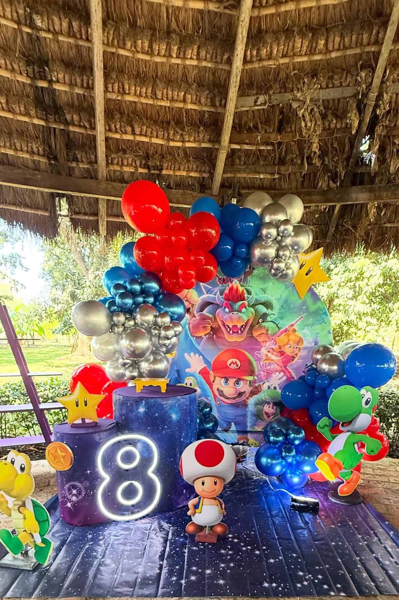 24 Epic Mario Galaxy Birthday Party Ideas • Confetti & Roses